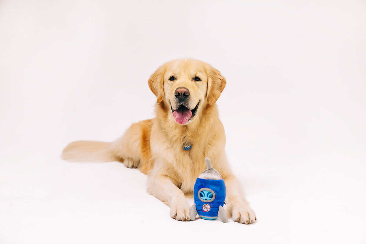 Alien Buddies Starblaster 2-in-1 Dog Toy from P.L.A.Y.