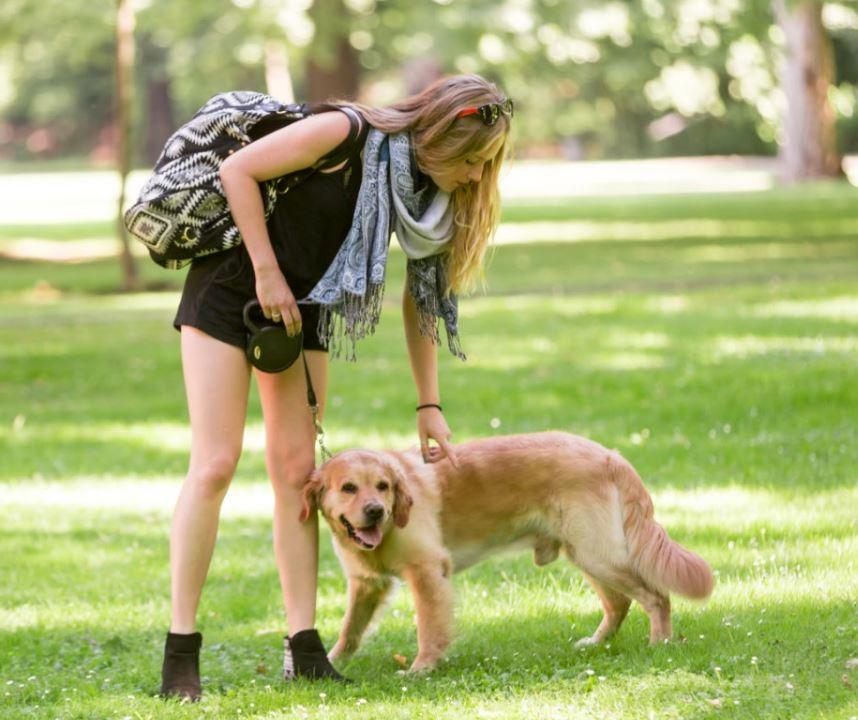 4 Training Techniques for Your Aggressive Dog – P.L.A.Y.