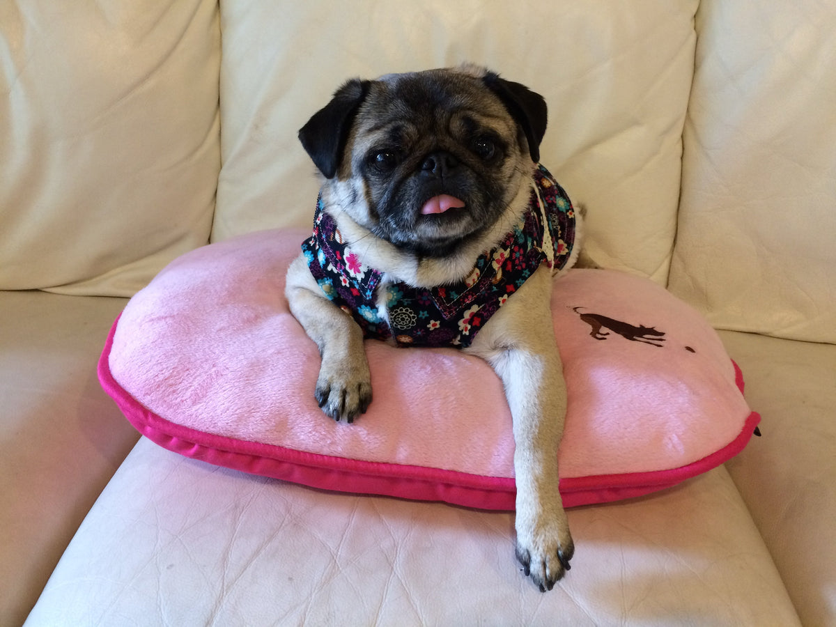 Momo Monday: Time to Put Love on Top – P.L.A.Y.