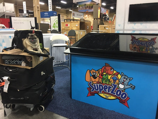 Momo Monday: Here's What Happened in Vegas at SuperZoo – P.L.A.Y.