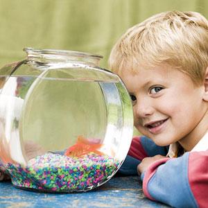 kid friendly fish pets