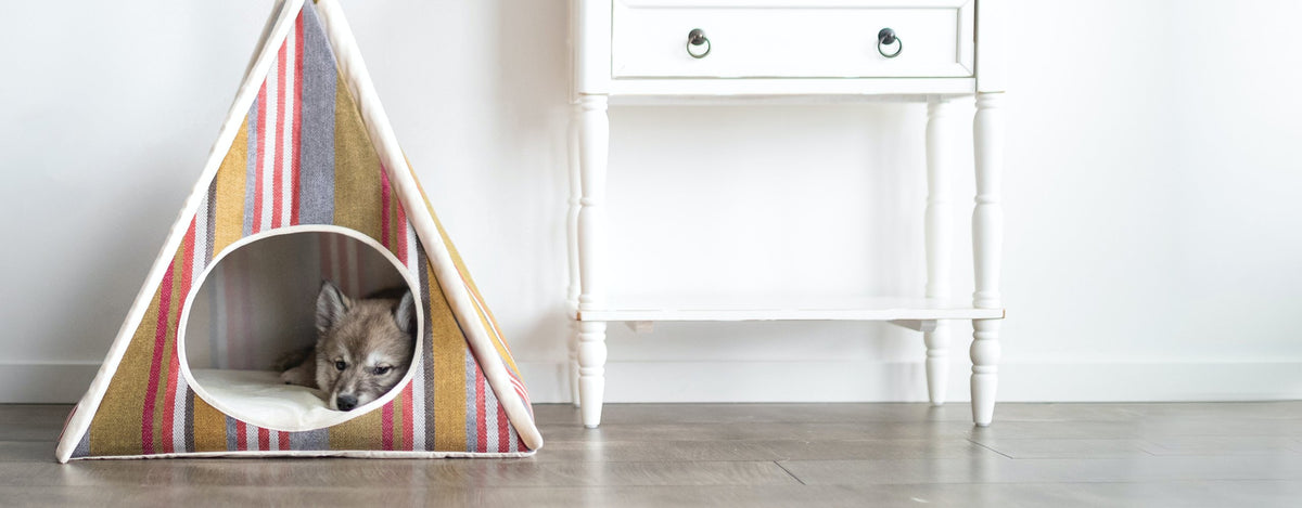 Dog & Cat Teepees: Stylish Pet Teepee Hideouts from P.L.A.Y.