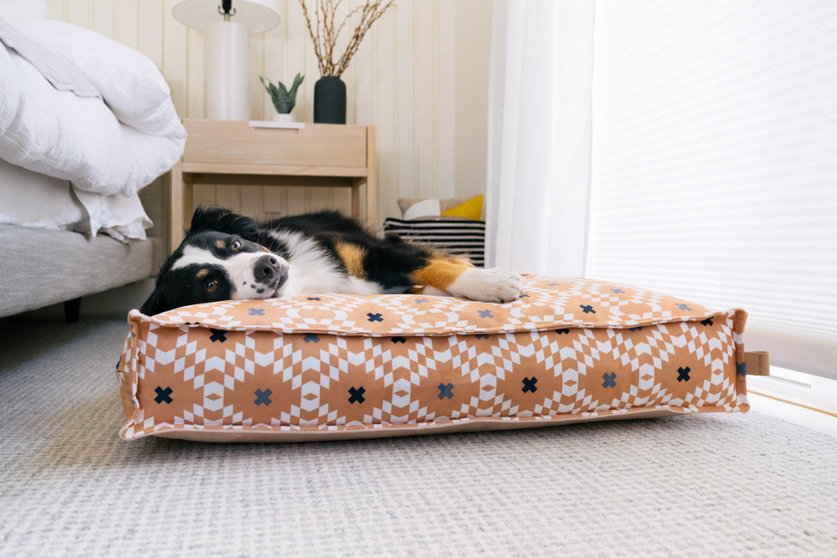 Simple & Traditional Dog Beds of All Shapes: Round, Rectangle & More ...