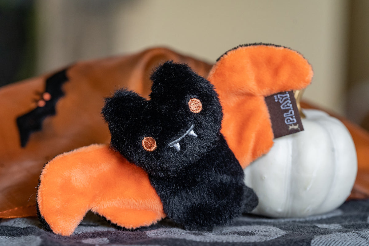 Creepy Critters Cat Toy by P.L.A.Y.