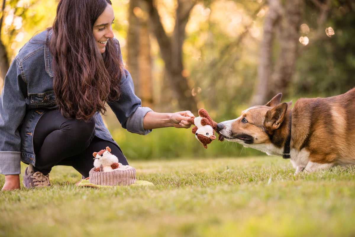 Durable Dog Plush Toy: Chippy and Cheeks the Chipmunks – P.L.A.Y.