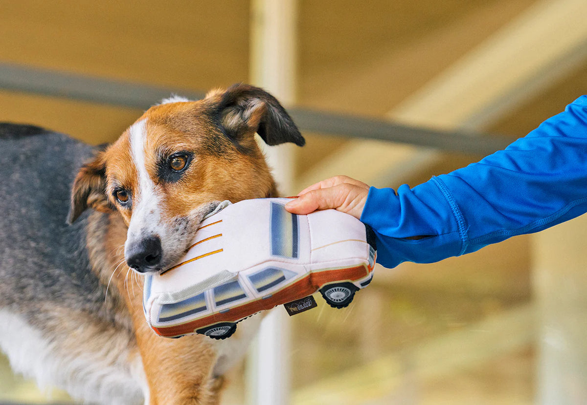 Durable Squeaky Plush Toy: Scruffy's Station Waggin' – P.L.A.Y.