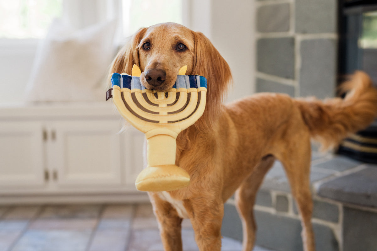 Paw-nukkah Menorah Dog Toy from P.L.A.Y.
