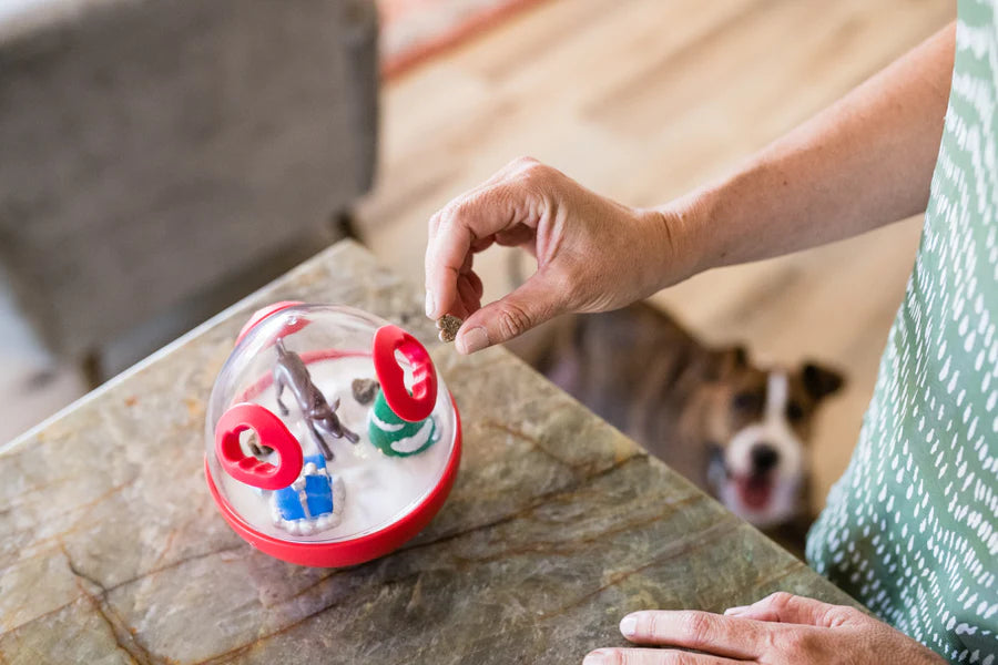 Holiday Wobble Ball 2.0 – P.L.A.Y.