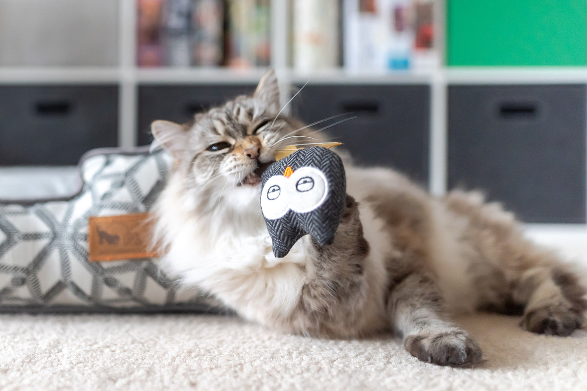 Crinkle and Rattle Cat Toy Set: Hooti-ful Owls by P.L.A.Y.