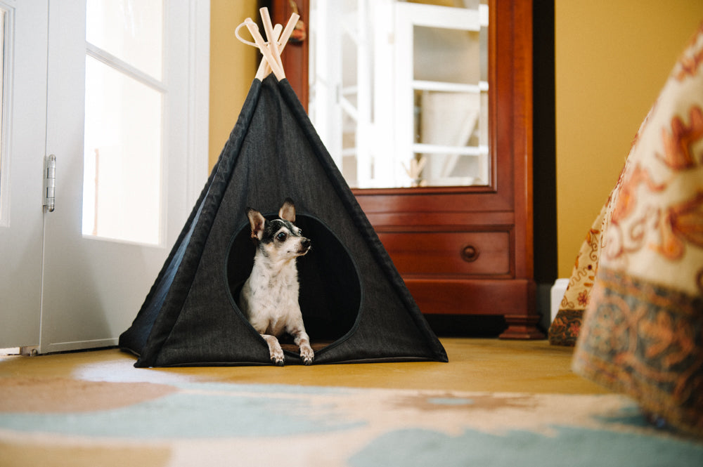 Pet Teepee Tents: A Cozy House for Your Dog or Cat – P.L.A.Y.