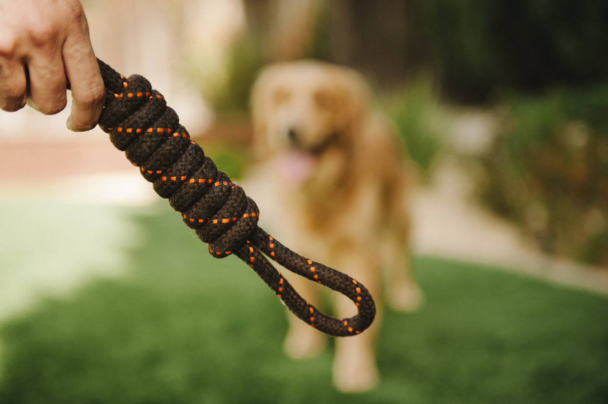 Dog Toy: The Outdoor Tug Ball Rope Chew Toy by P.L.A.Y.